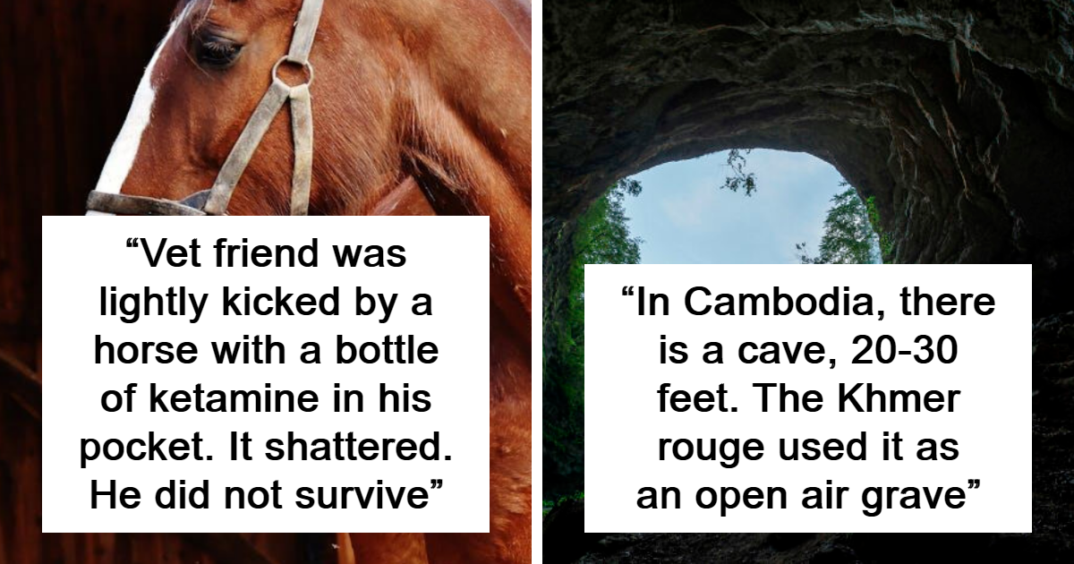 “Makes My Stomach Turn”: 45 Terrifying True Stories…