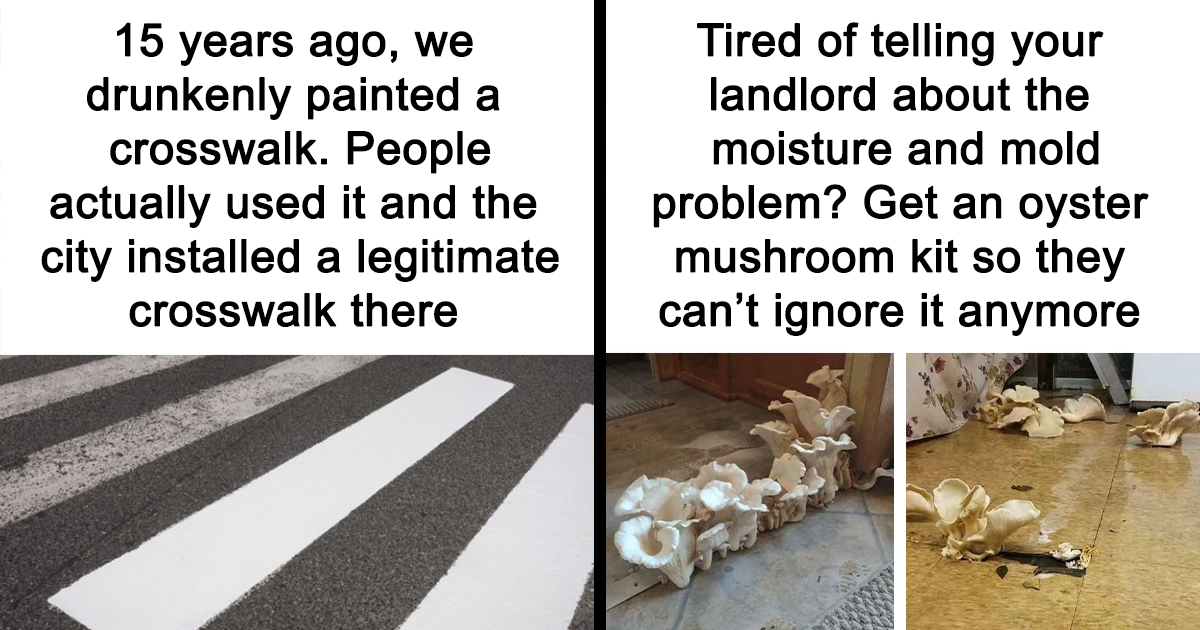 50 Examples Of ‘Chaotic Good’ Bringing Justice To The…