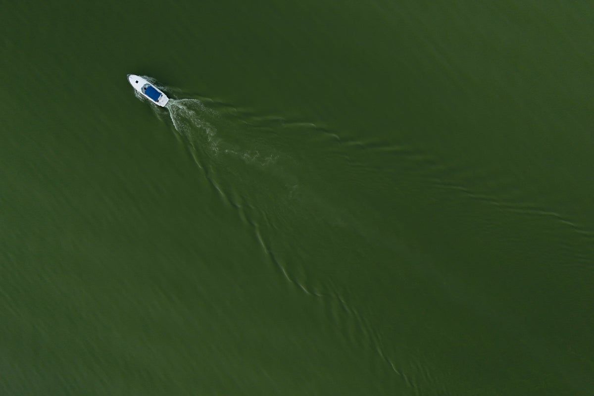 On Lake Erie, getting rid of problem algae starts with…