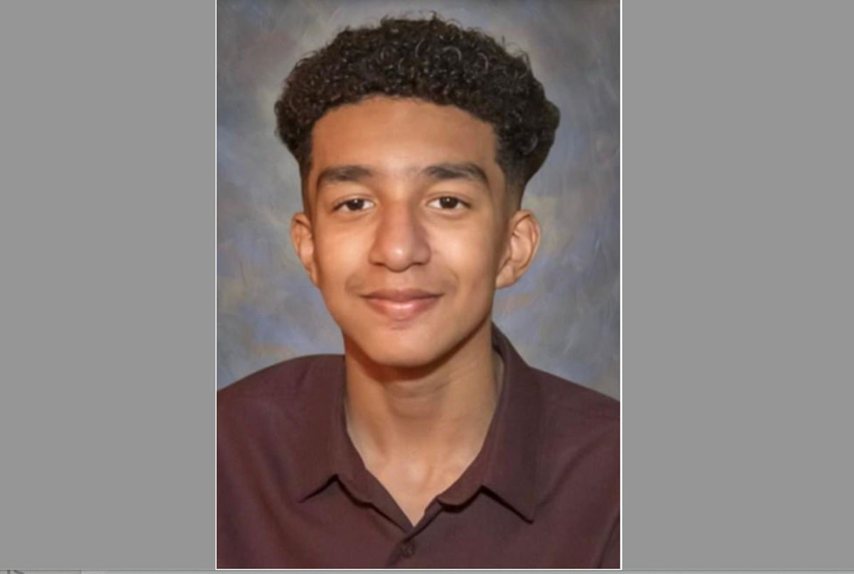 Teenager took his own life after falling in love with…