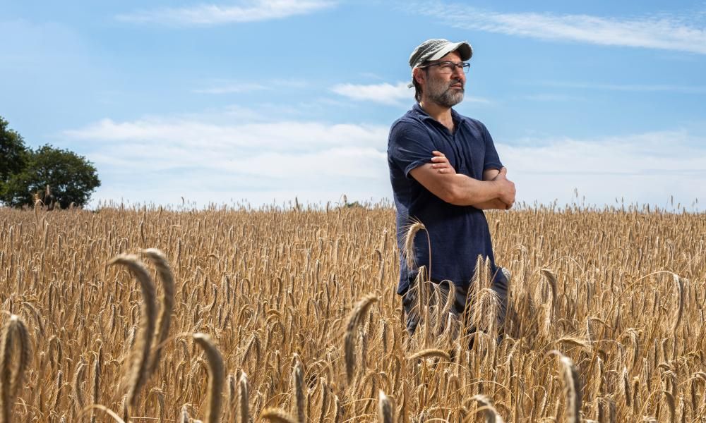 ‘Serial meets Twin Peaks’ in a true crime tale from…