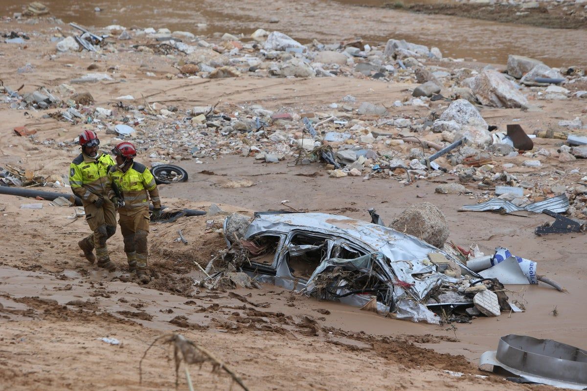 A crowd of Spain's flood survivors toss mud and shout…