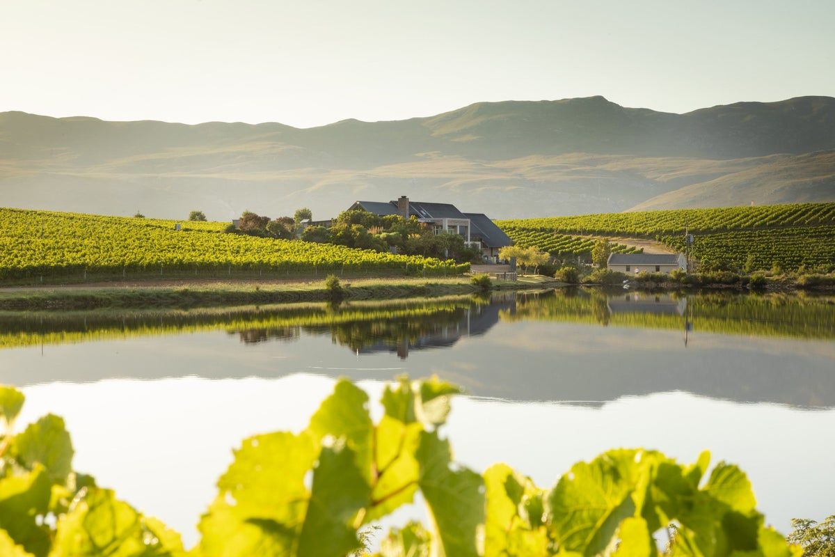 The world’s three best vineyards have been revealed
