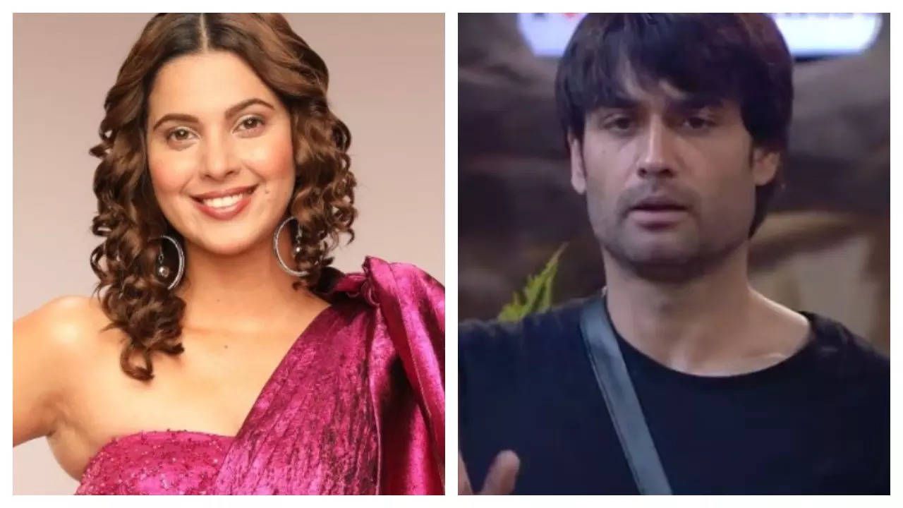 Bigg Boss 18: Alice Kaushik accuses Vivian Dsena for…