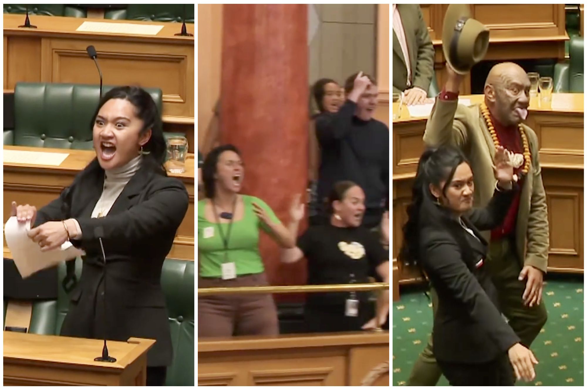 New Zealand Lawmakers Explode in Powerful Haka Chant…