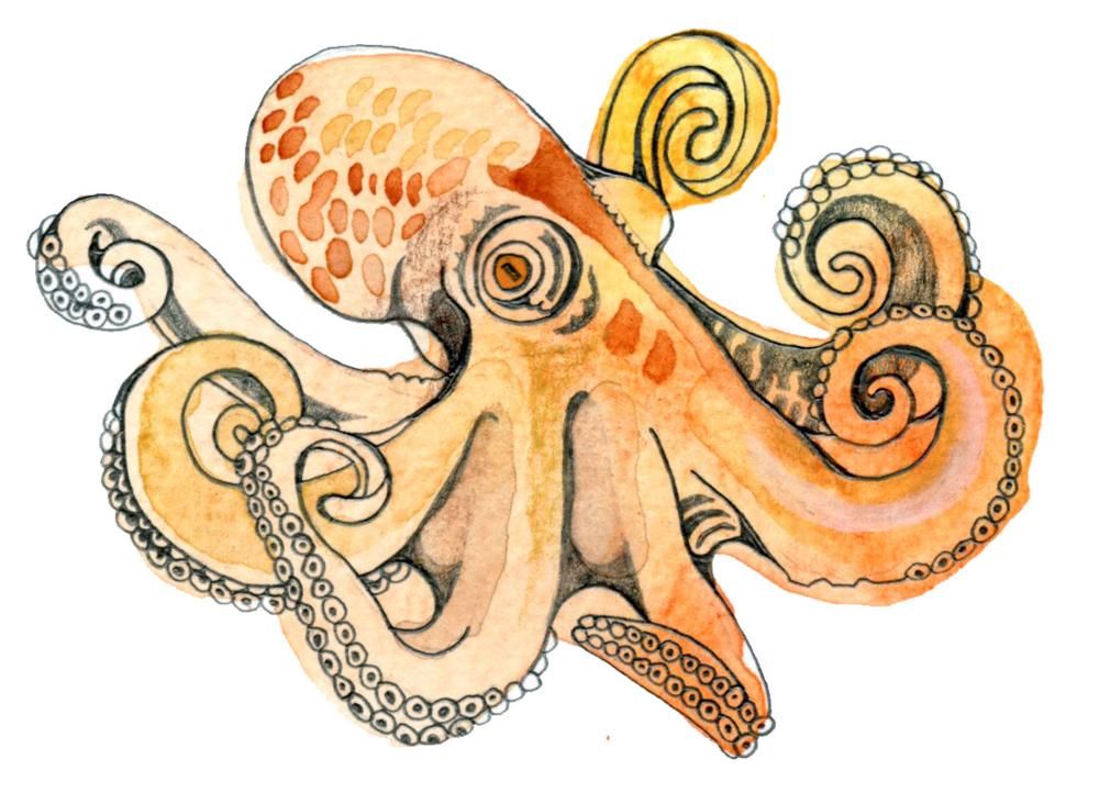 How smart is an octopus and how do lips get chapped?…