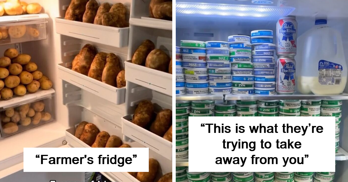 ‘Dude Fridges’: 50 Hilariously Unhinged Fridges That…