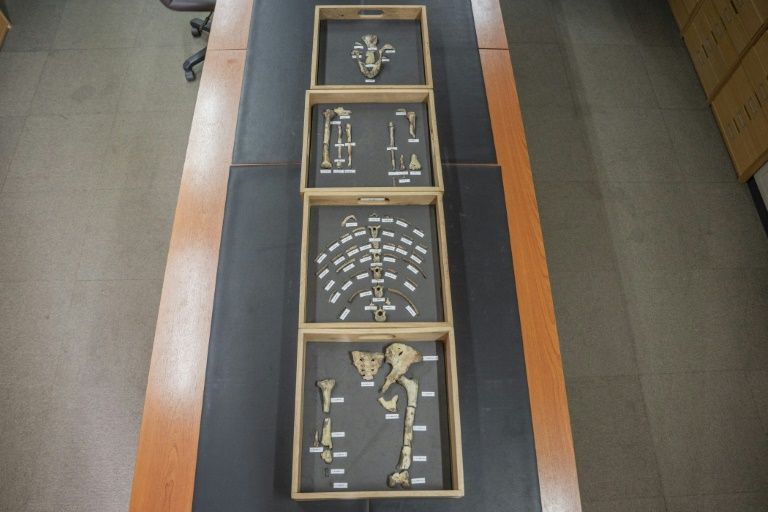 Human Ancestor Lucy Still Has Secrets 50 Years After…