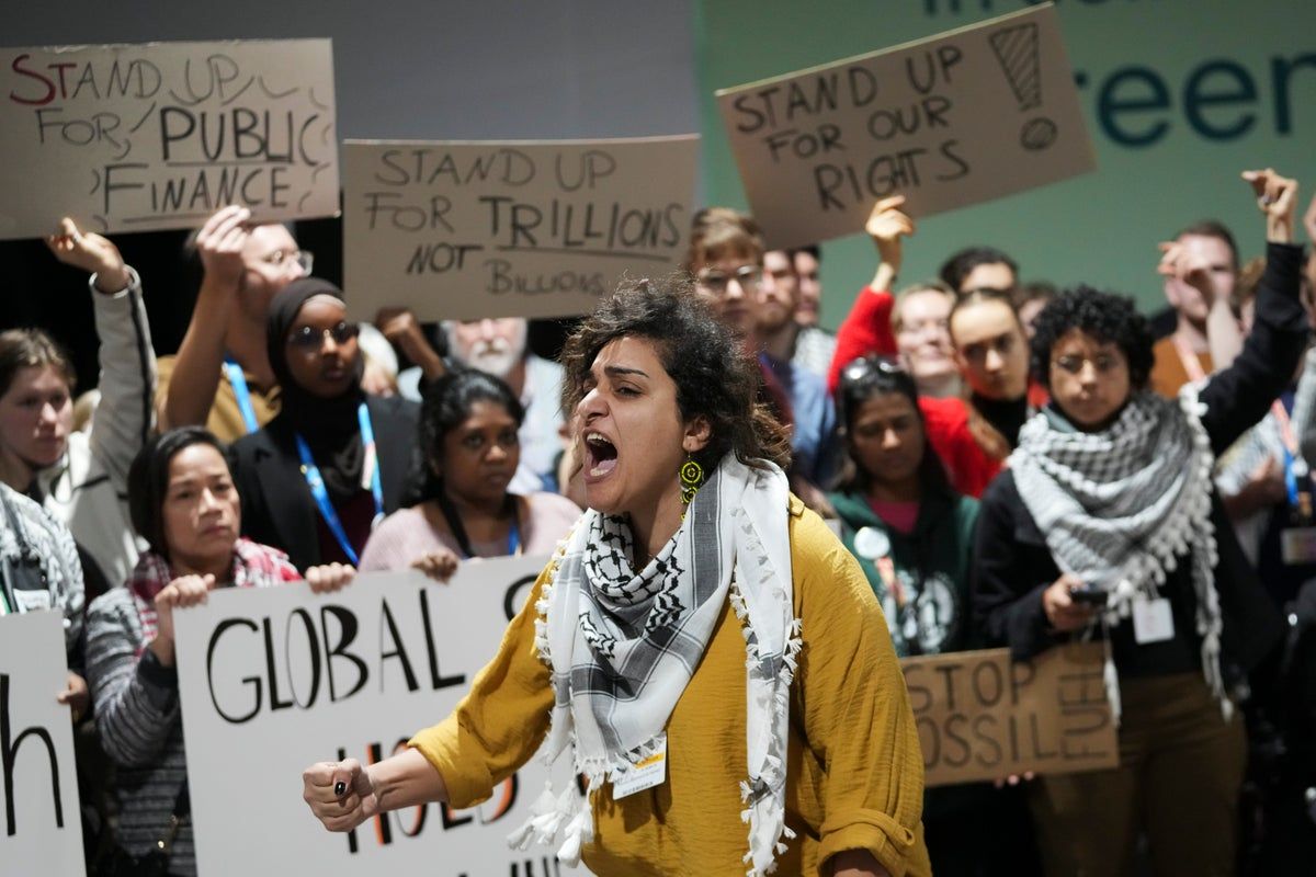 Cop29 draft deal on verge of collapse as small island…
