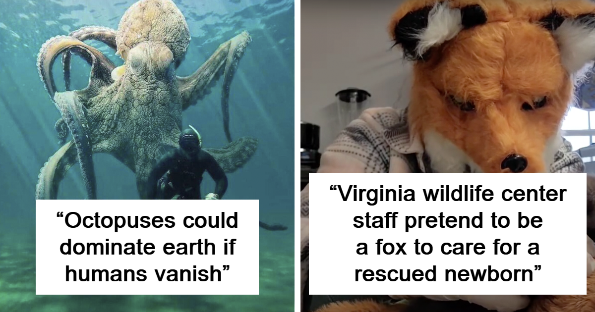 68 Facts About Animals That Might Make You Look Like…