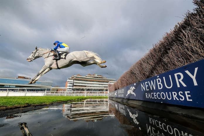 Coral Gold Cup 2024: Colonel Harry Heads The Newbury…