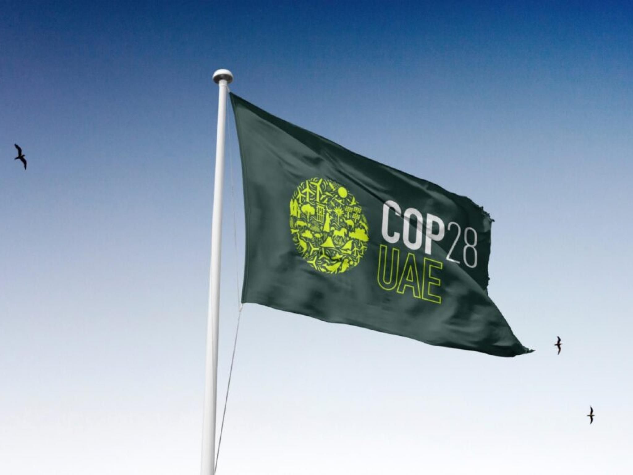 $300 Billion 'Joke': COP29 Reps Scoff At 'Paltry Sum'…