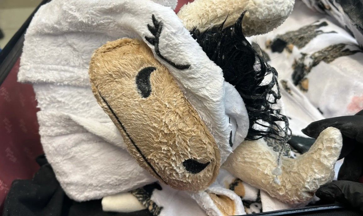 California Man Caught At Airport With Meth-Caked Cow…