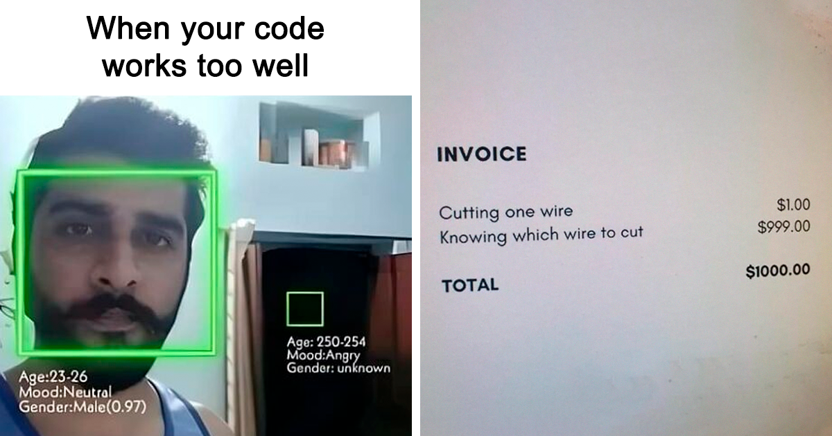 71 IT Memes That Might Help You If Your Last Braincell…