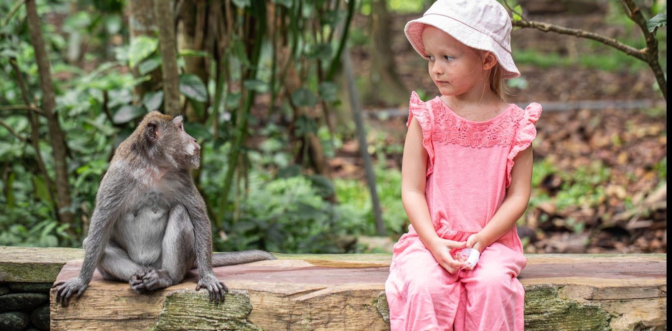 How primate eye tracking reveals new insights into the…