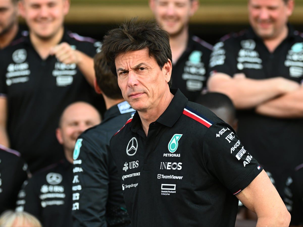 Toto Wolff apologises to Lewis Hamilton for ‘idiotic’…