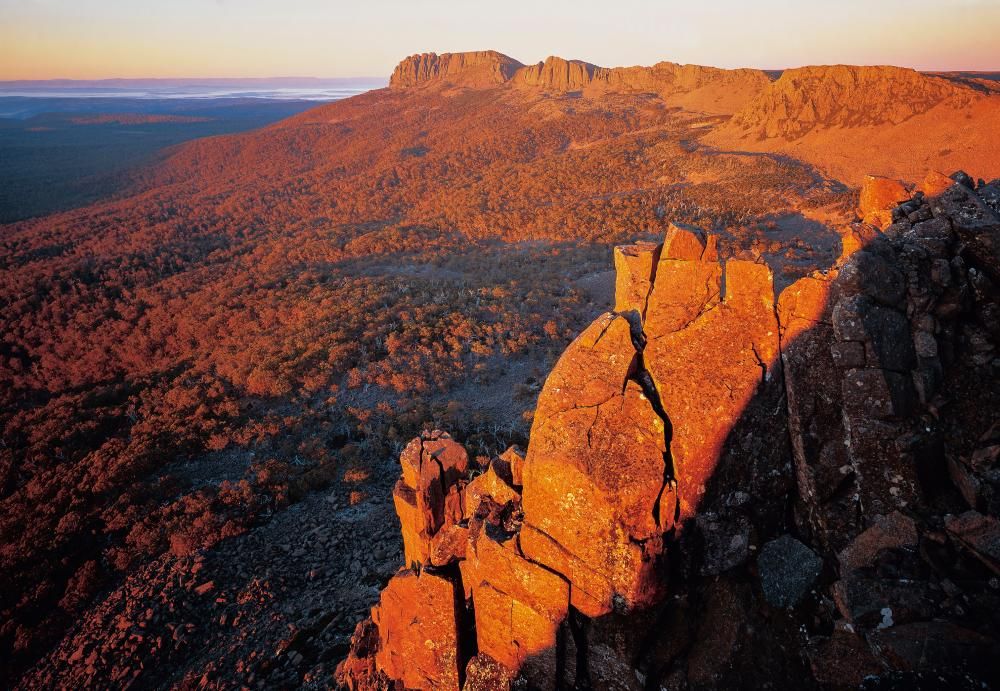 Maps reveal parts of protected Tasmanian native forest…