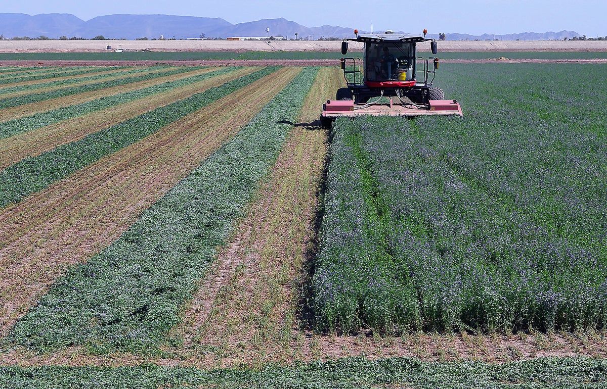 Arizona AG sues Saudi firm over 'excessive'…