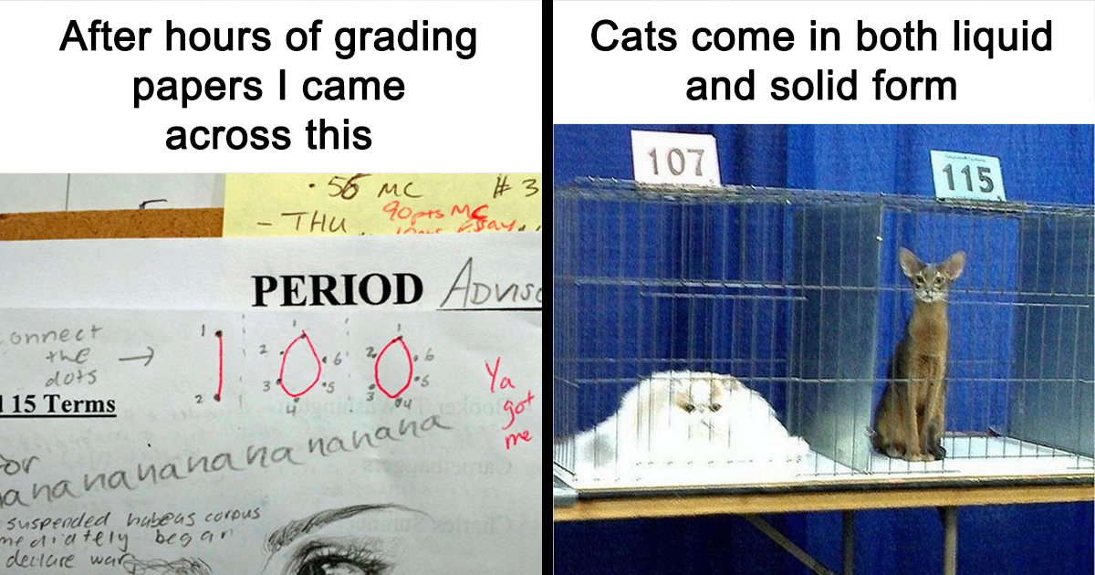 35 Scientifically Proven Memes For Those With An…