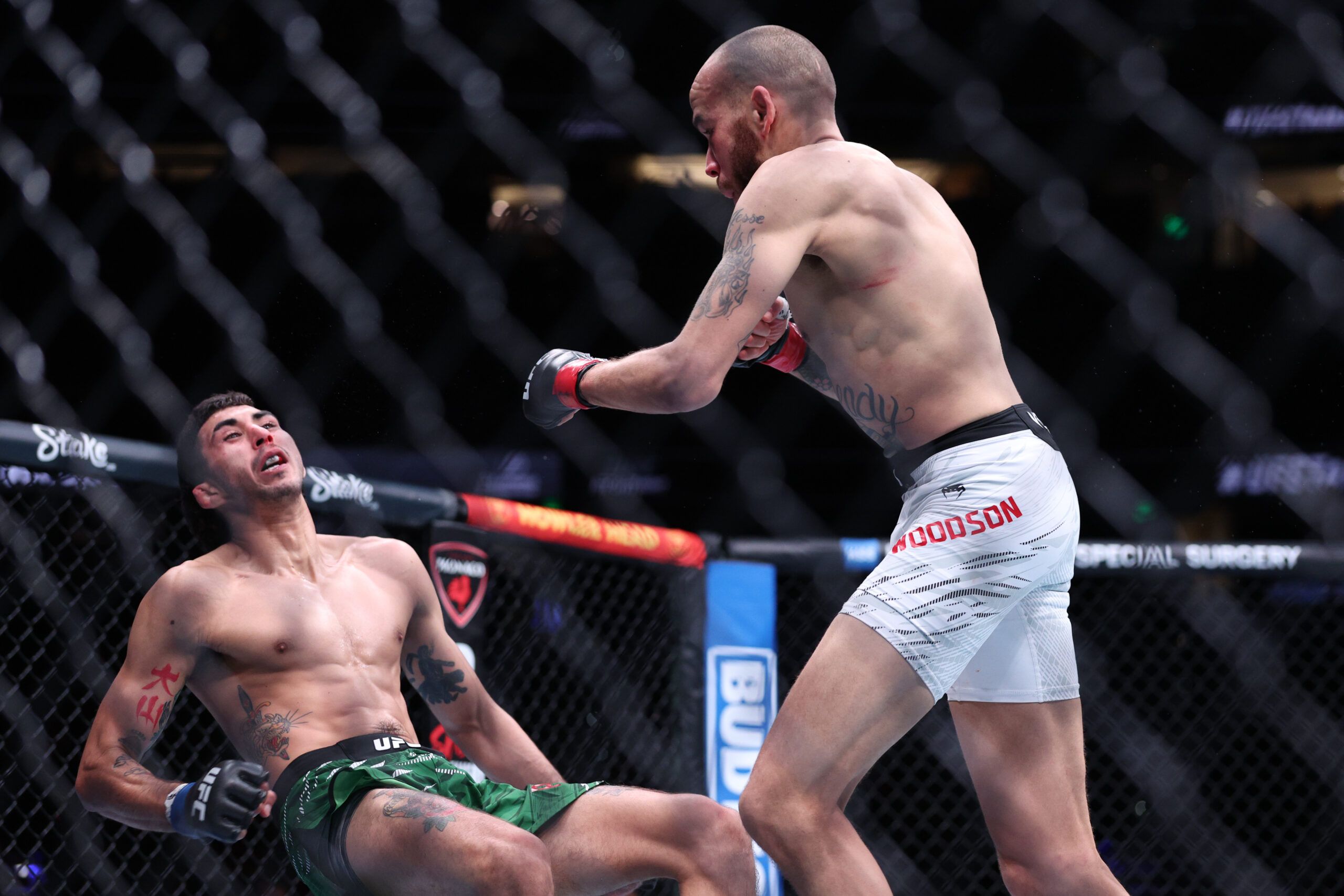 Sean Woodson def. Fernando Padilla at UFC Tampa: Best…