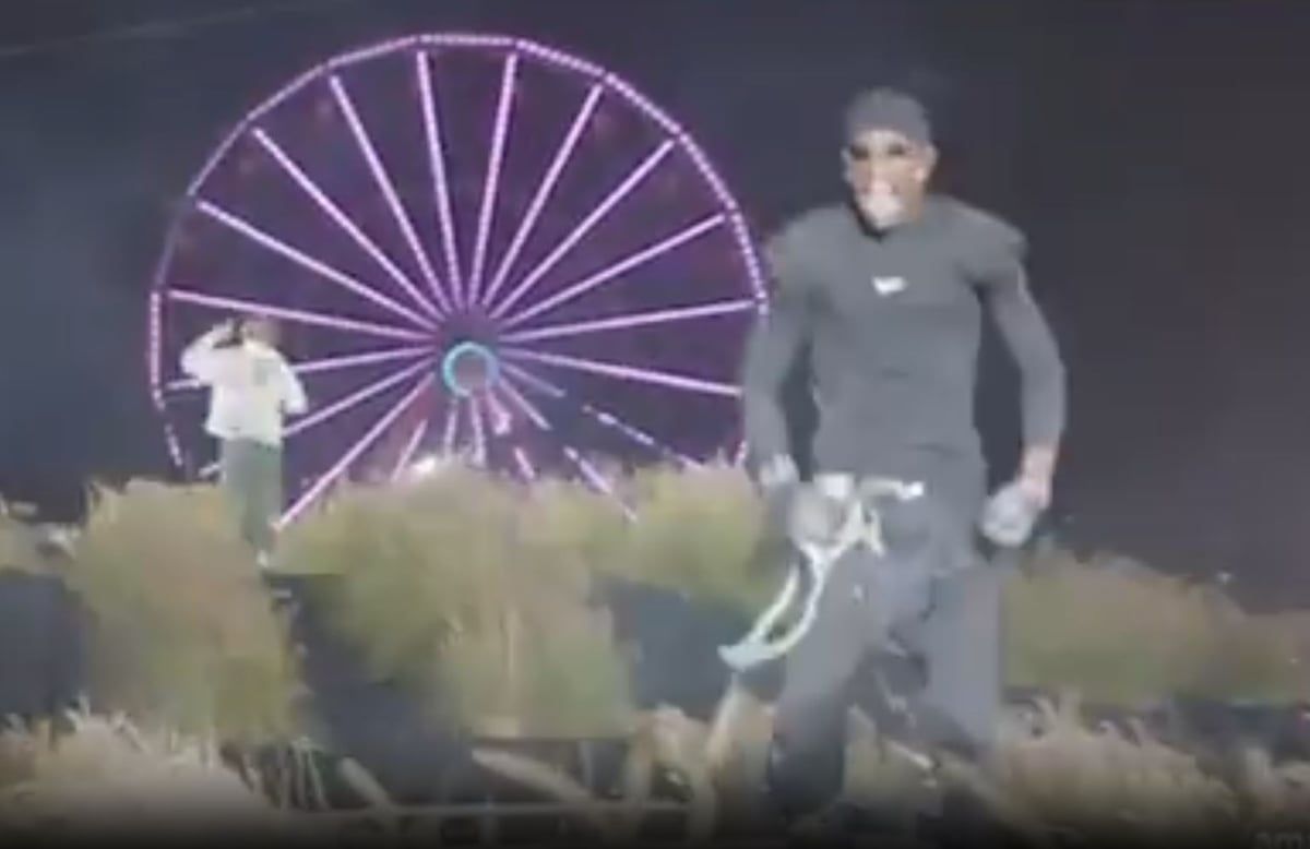 Watch as Owen Wilson makes surprise appearance…