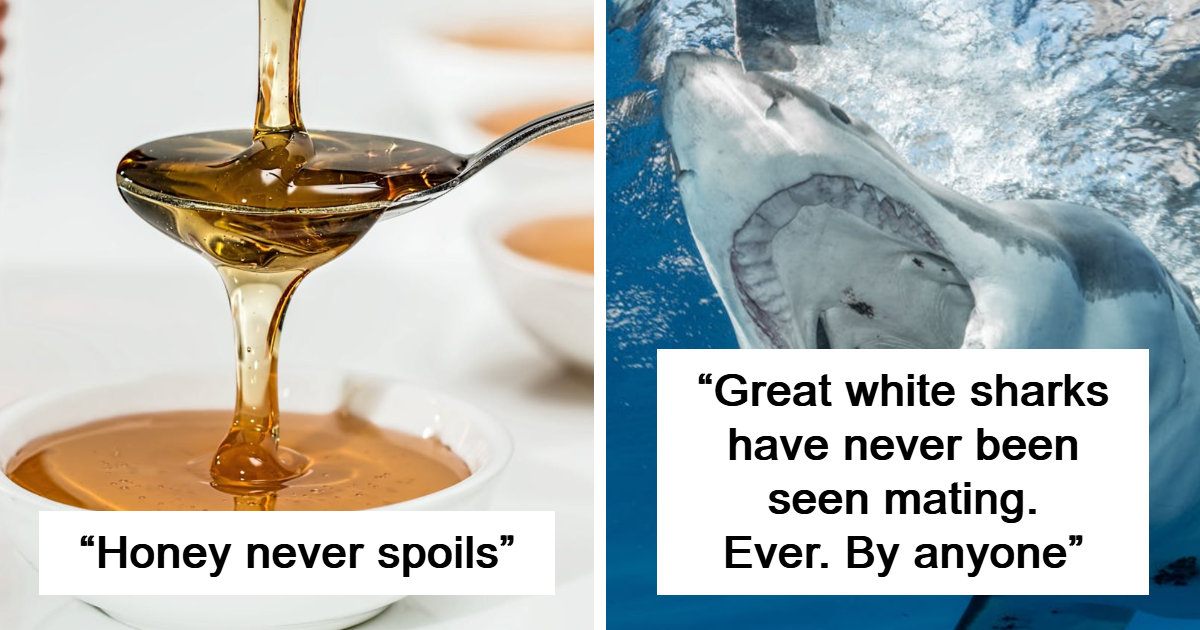 30 Unusual Facts No One Really Asked For, But Are…