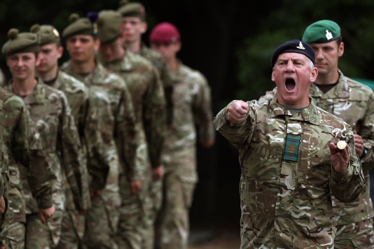 UK’s reserve forces are ‘hollowed out’ and still…
