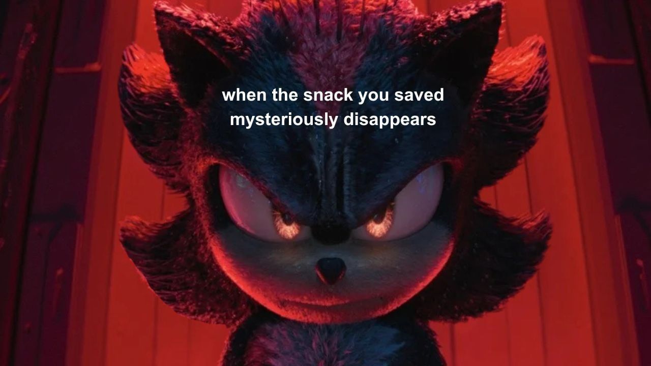 Everything You Need To Know About Our Boy Shadow…