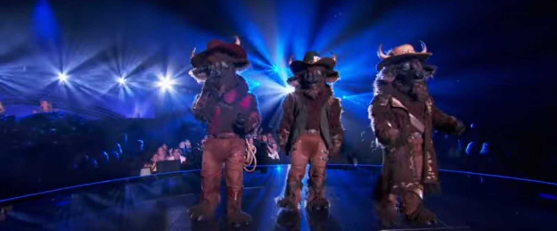 Who won the Masked Singer finale? Buffalos and Wasp…