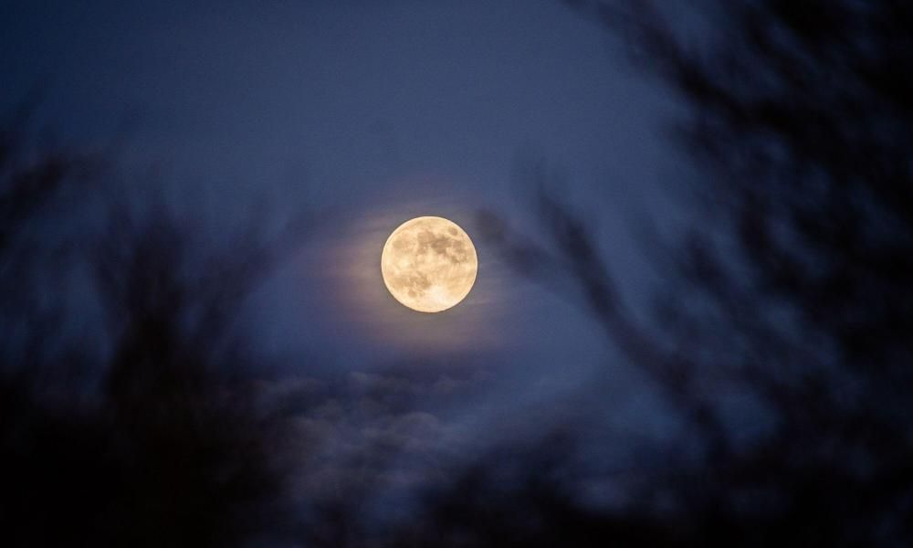 Country diary: The moon is as high as it can ever get…