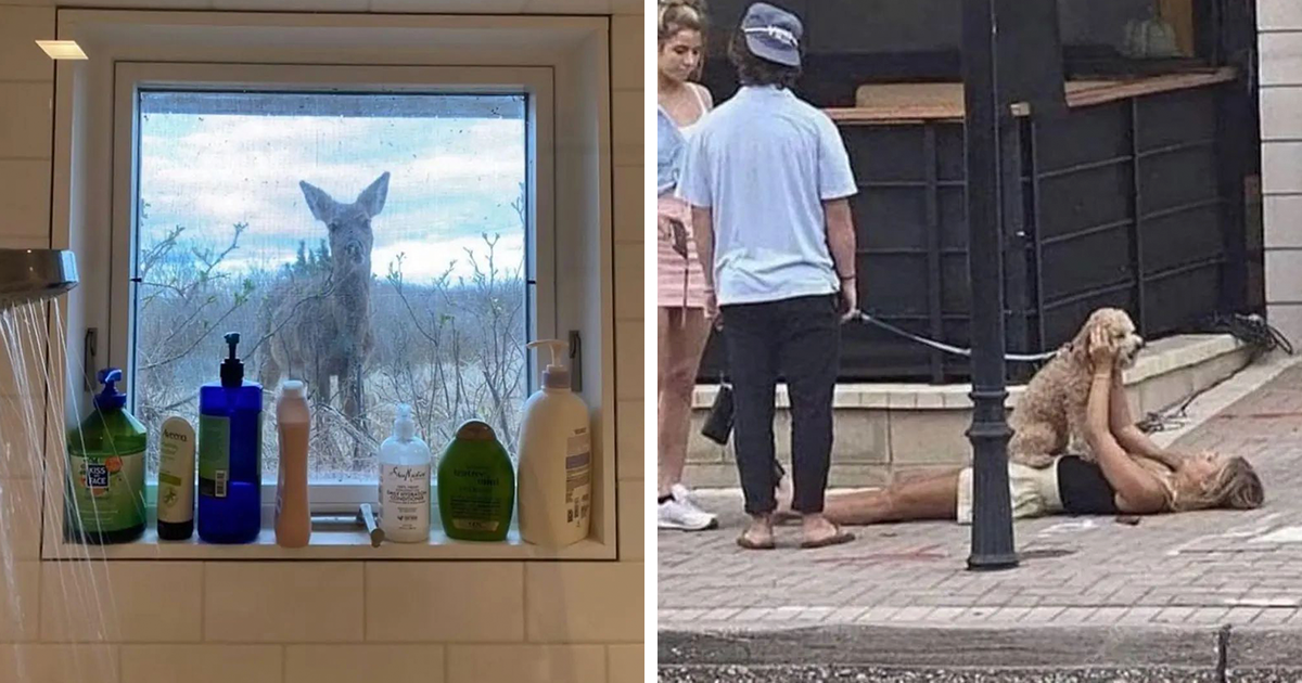 IG Account Posts Pics So Adorable, It’s Basically The…