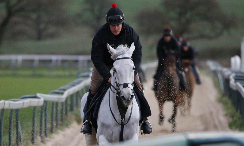 Grey Dawning bids to follow in Desert Orchid tradition…