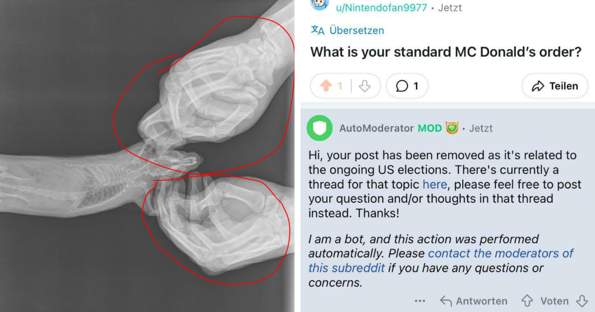 103 Pics That Are ‘Not Interesting’—And That’s Exactly…