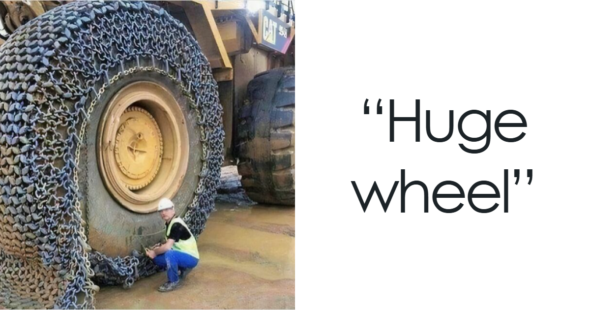 50 Photos Of Gigantic Things That Are Big “Nopes” For…