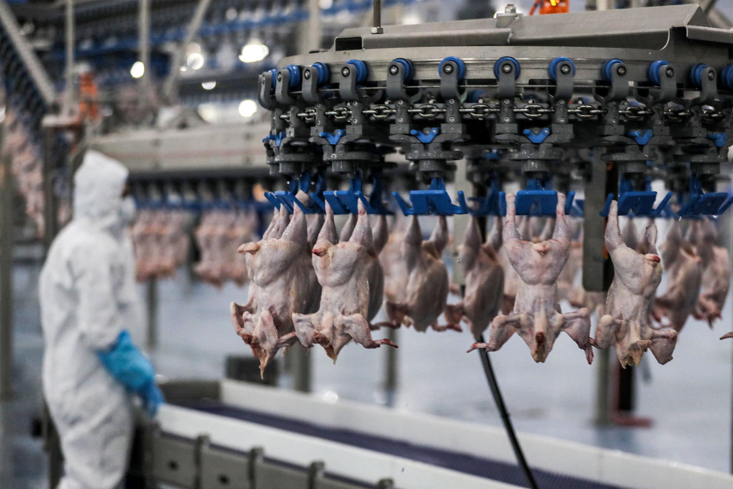 Explosion at Georgia Tyson Foods Plant Kills Woman…