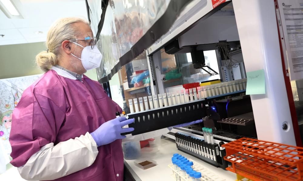 Bird flu, brain rot and booze – the health issues…