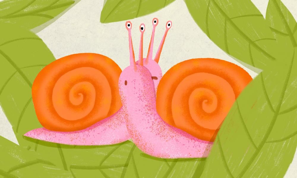 Chunky European snails may be coming to Australia,…