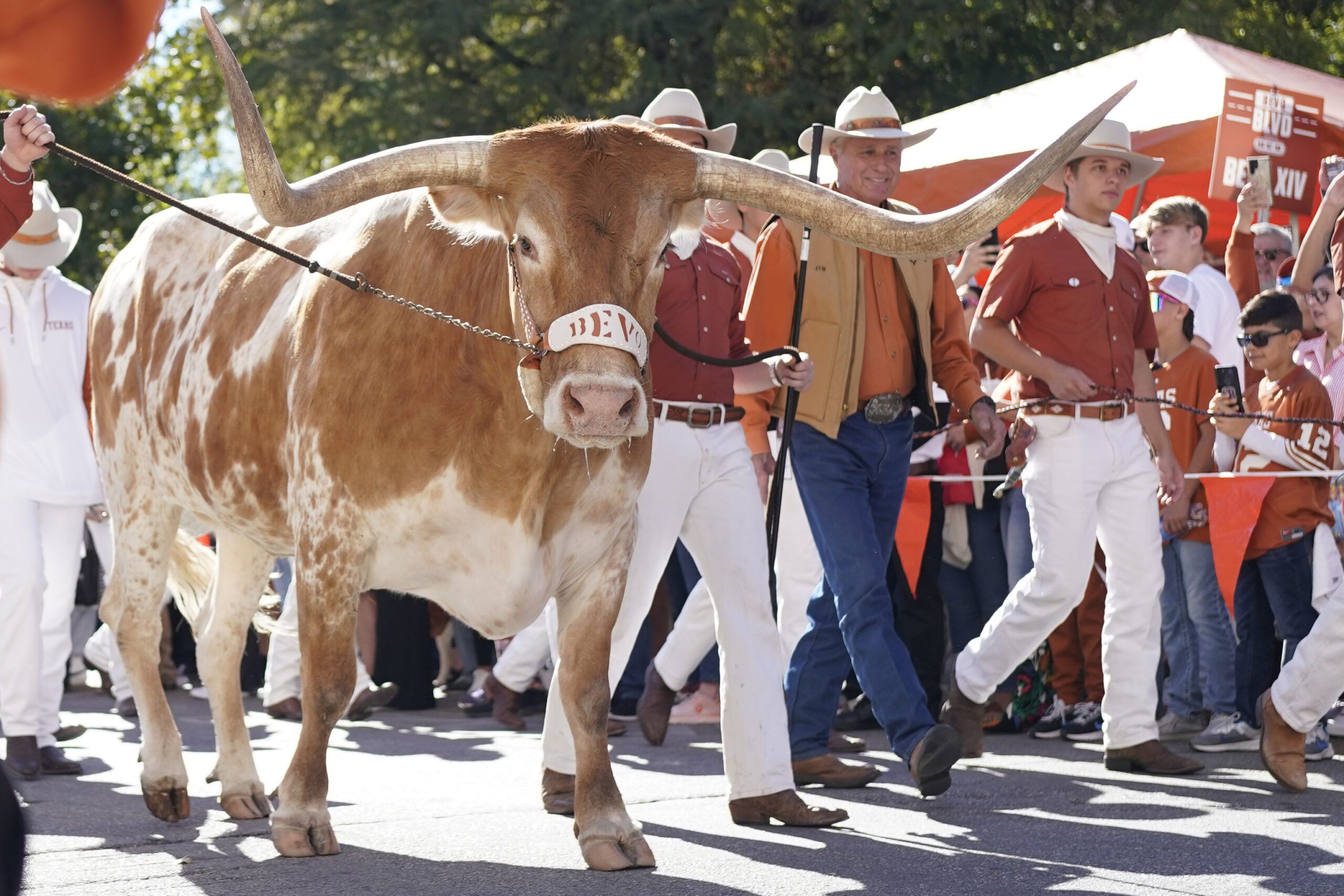 Why Bevo won’t be on sidelines of Texas vs. Arizona…