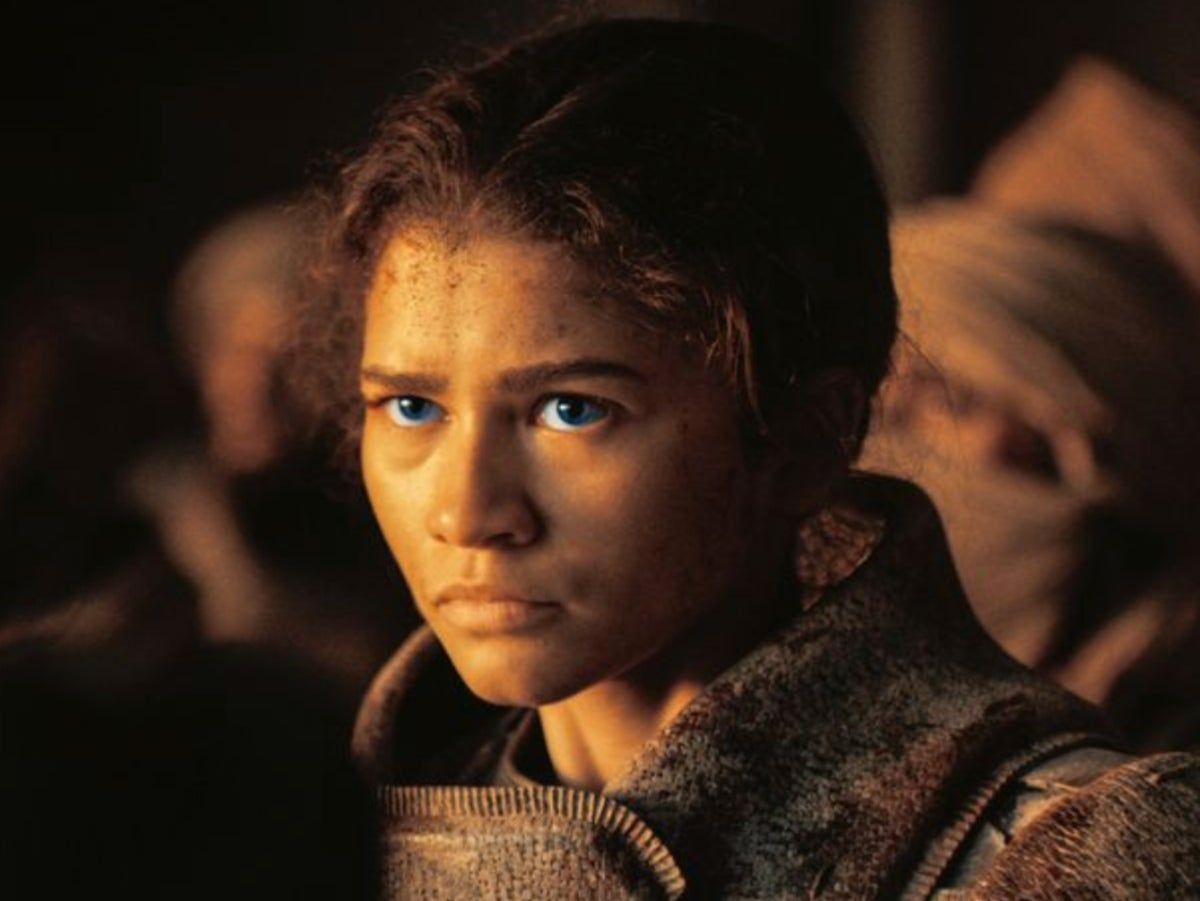 Letterboxd’s Wrapped 2024: How to find your top…