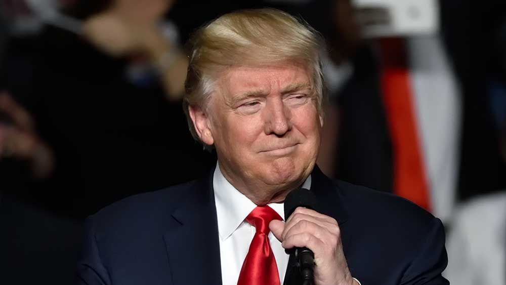Stock Market Today: Dow Jones Up, Donald Trump Stock…