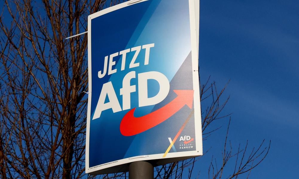 German police investigate AfD flyers resembling plane…