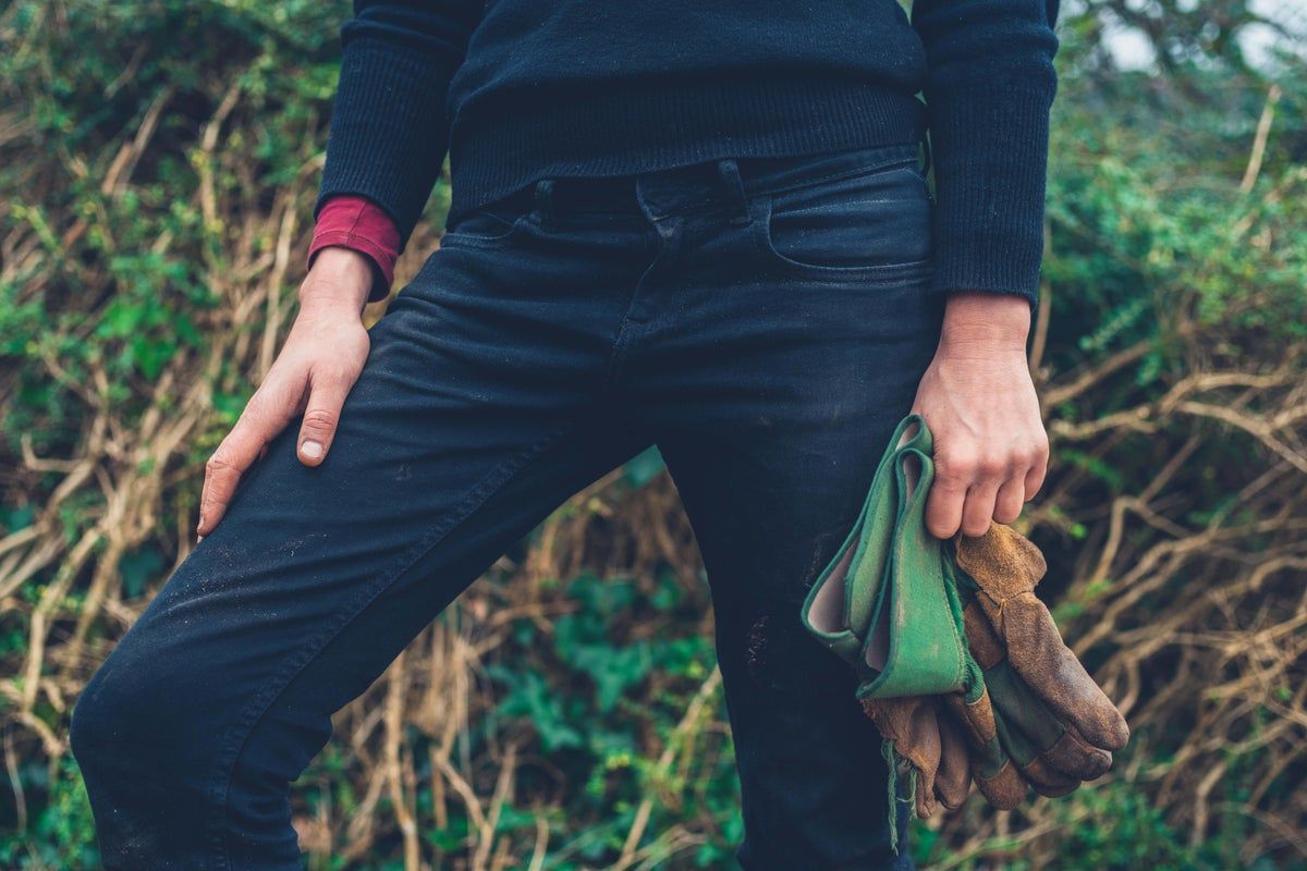 Gardening tips for February: what is best to sow and…