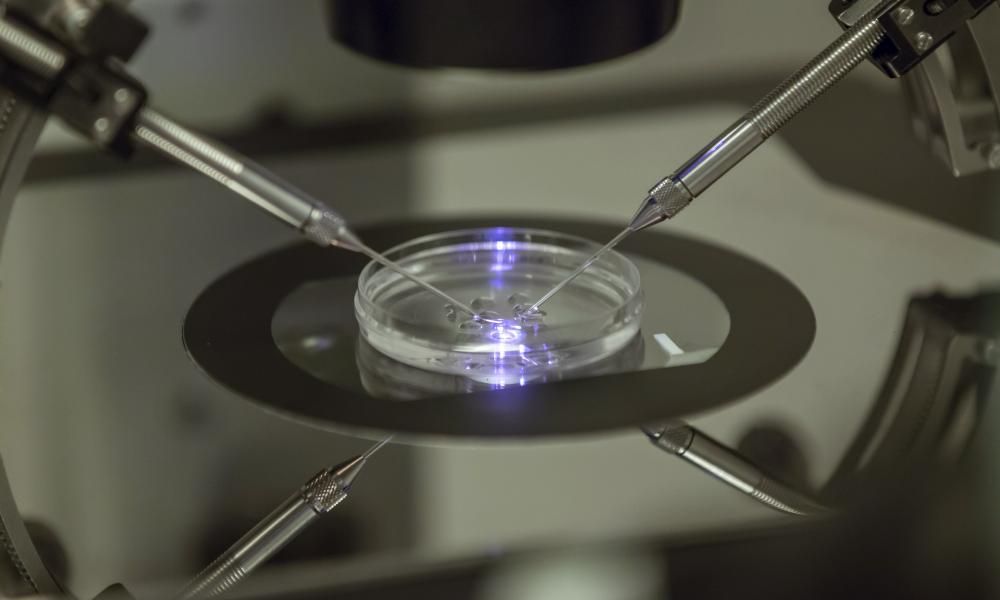 Technology for lab-grown eggs or sperm on brink of…