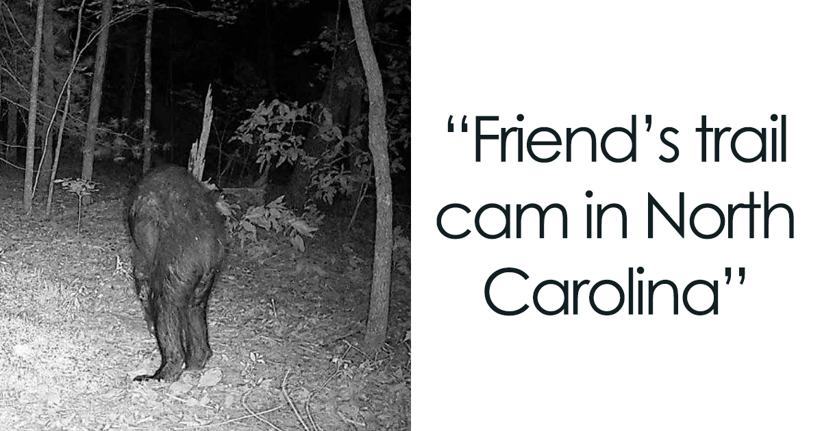 57 Creepy Trail Cam Pics That People Just Had To Share…