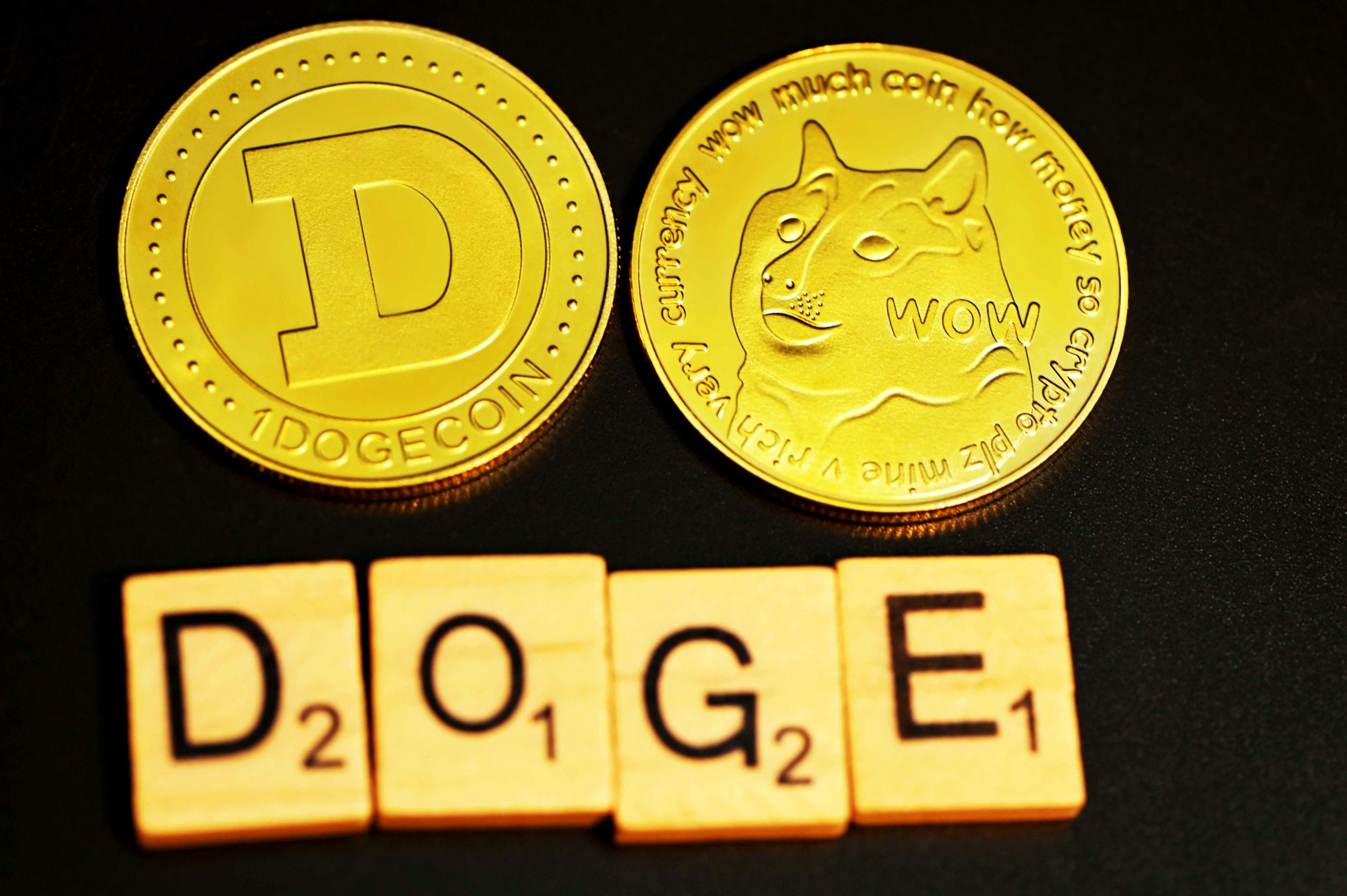 Bitwise Files S-1 For Dogecoin ETF, Polymarket Bettors…