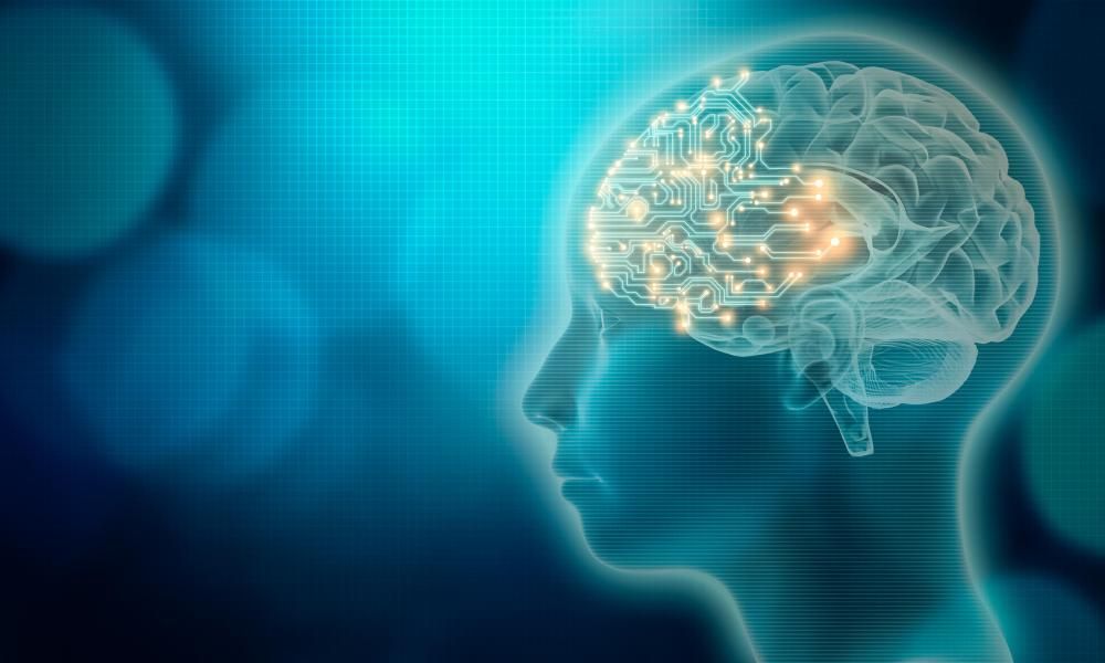 US Authors Guild to certify books from ‘human…