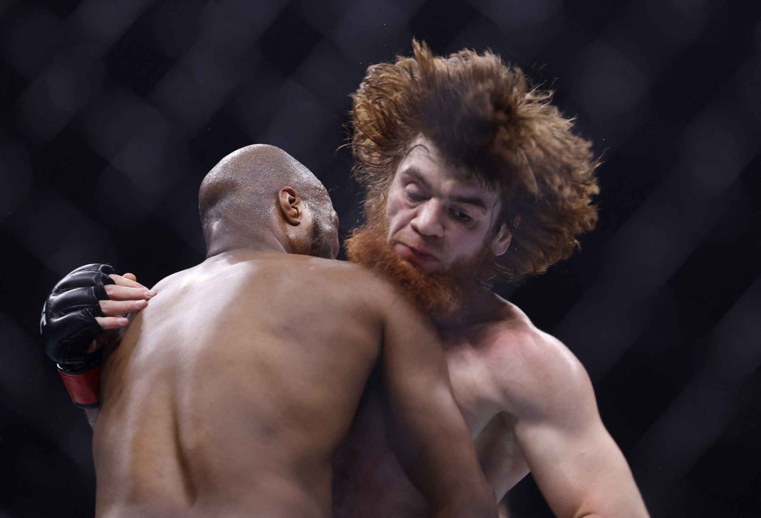 Dana White reacts to Shara Magomedov’s first career…