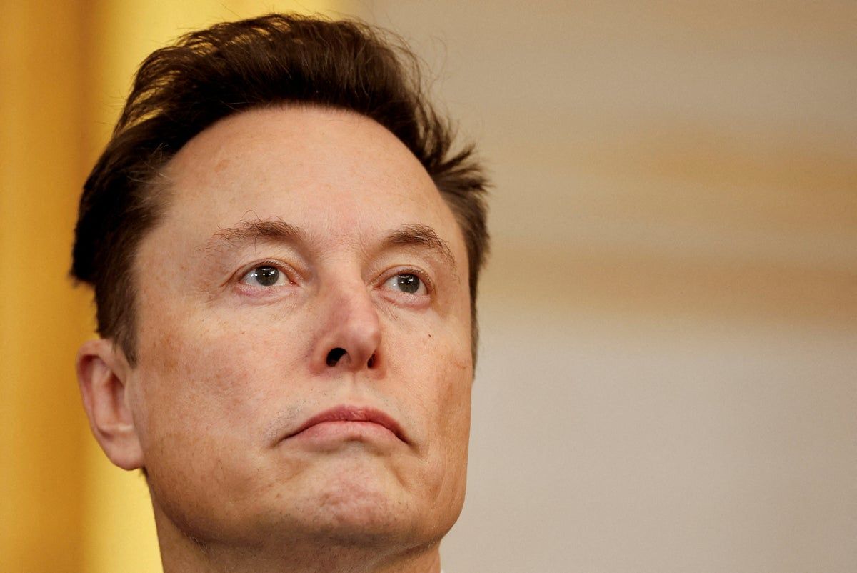 Why Musk's access to the Treasury payment system is so…