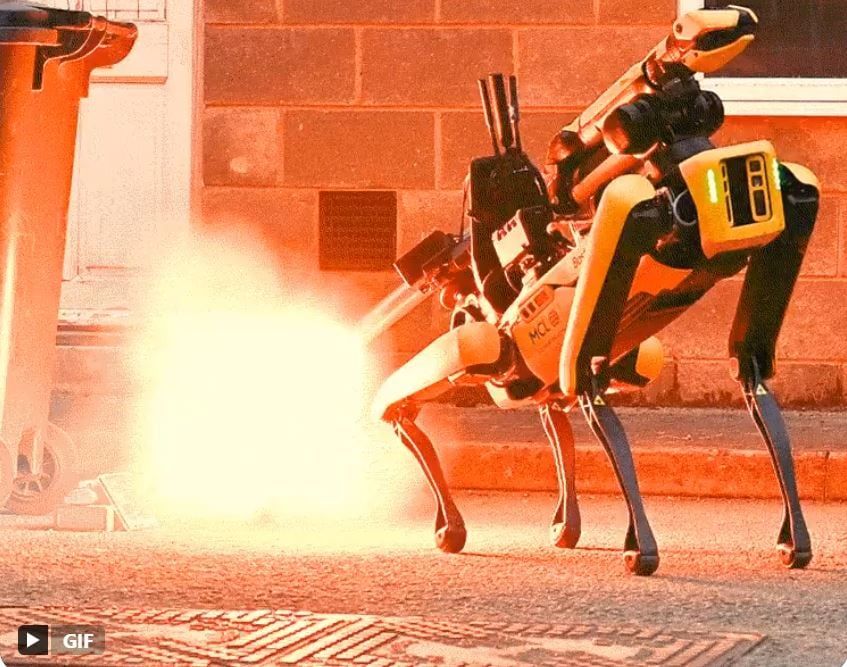 Meet the robot dogs that can climb stairs, open doors…