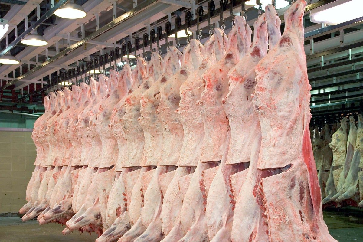Dangerous meat could appear in UK’s supermarkets,…